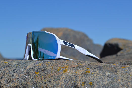 Swedish Greyhound Eyewear