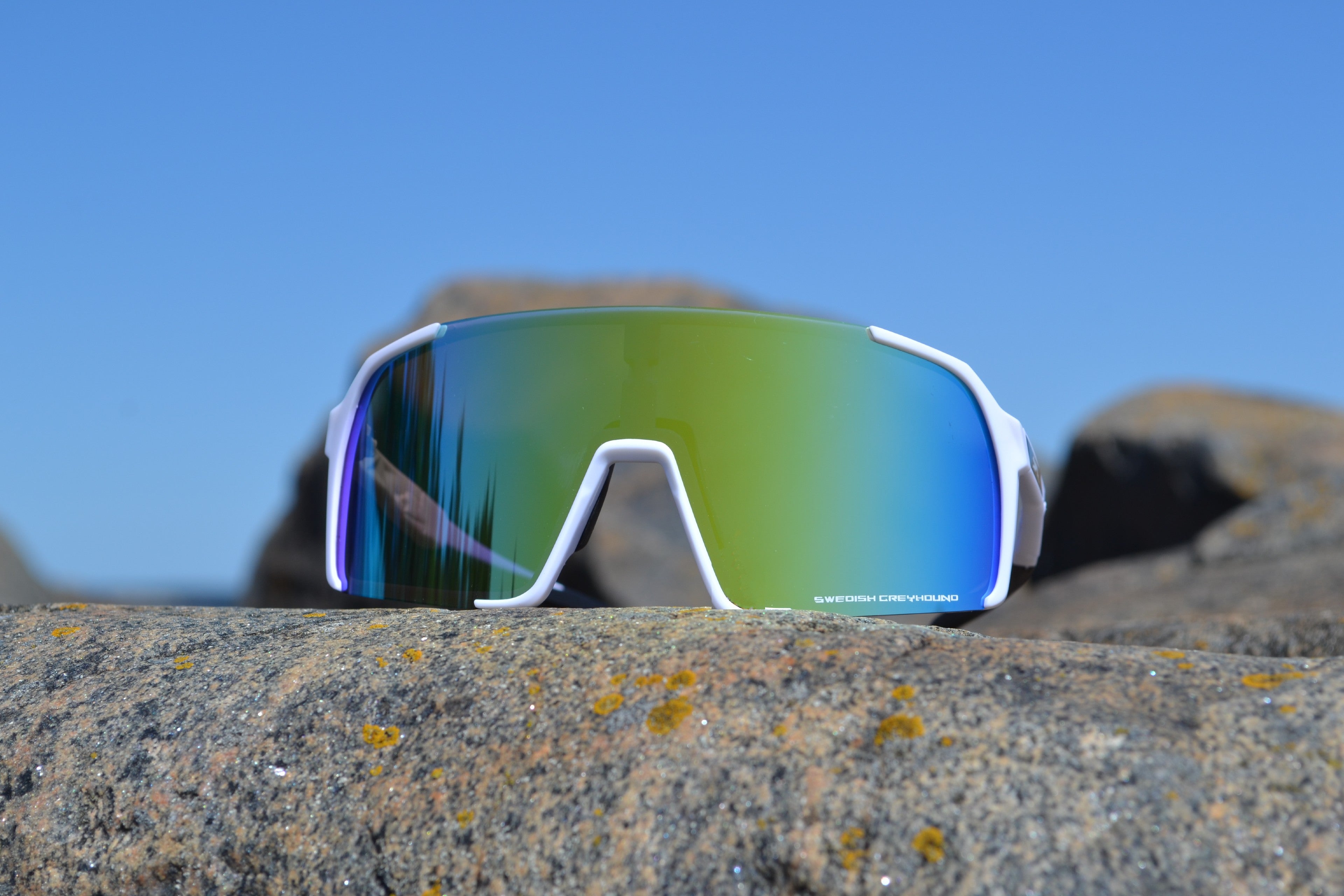 Swedish Greyhound Eyewear